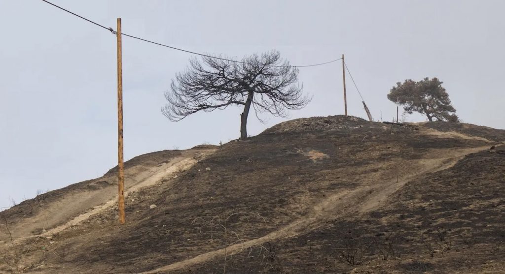 Utility Pole Fire Defense - Sun FireDefense